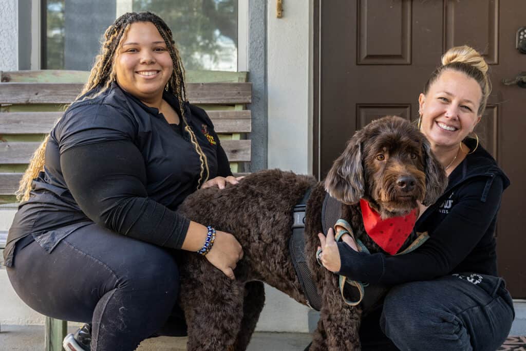 Mobile Pet Grooming Franchise | Aussie Pet Mobile